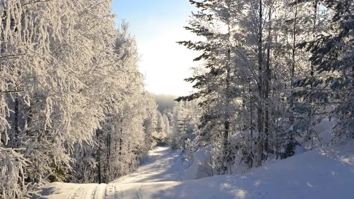 Skid- och elljusspår